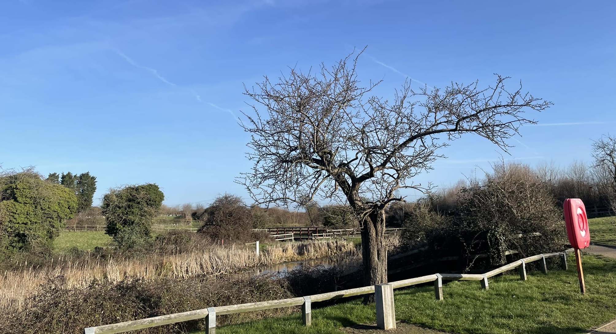 Iwade Village Website | Iwade Business Directory | Iwade Whats On ...